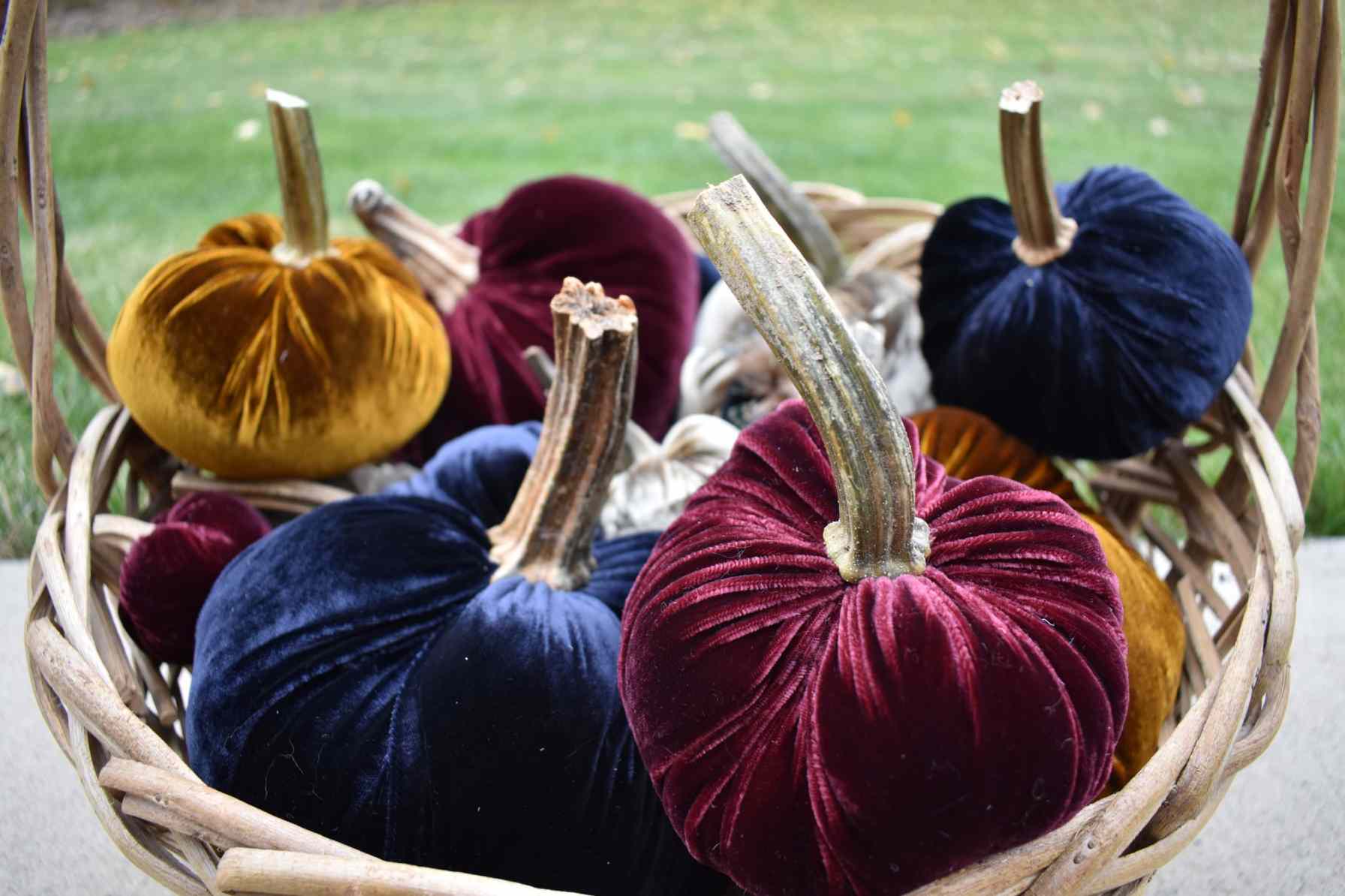 CutieKins - Classic Velvet Pumpkins, Around the Patch the Cutiekins way...